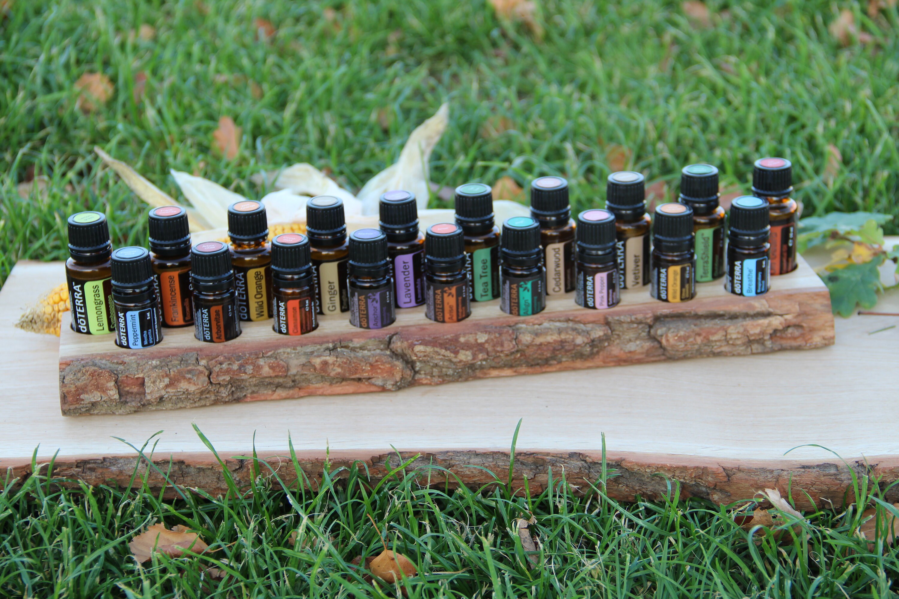 Stand With Bark for Essential Oils 109 for Doterra or Young Living, Oil ...