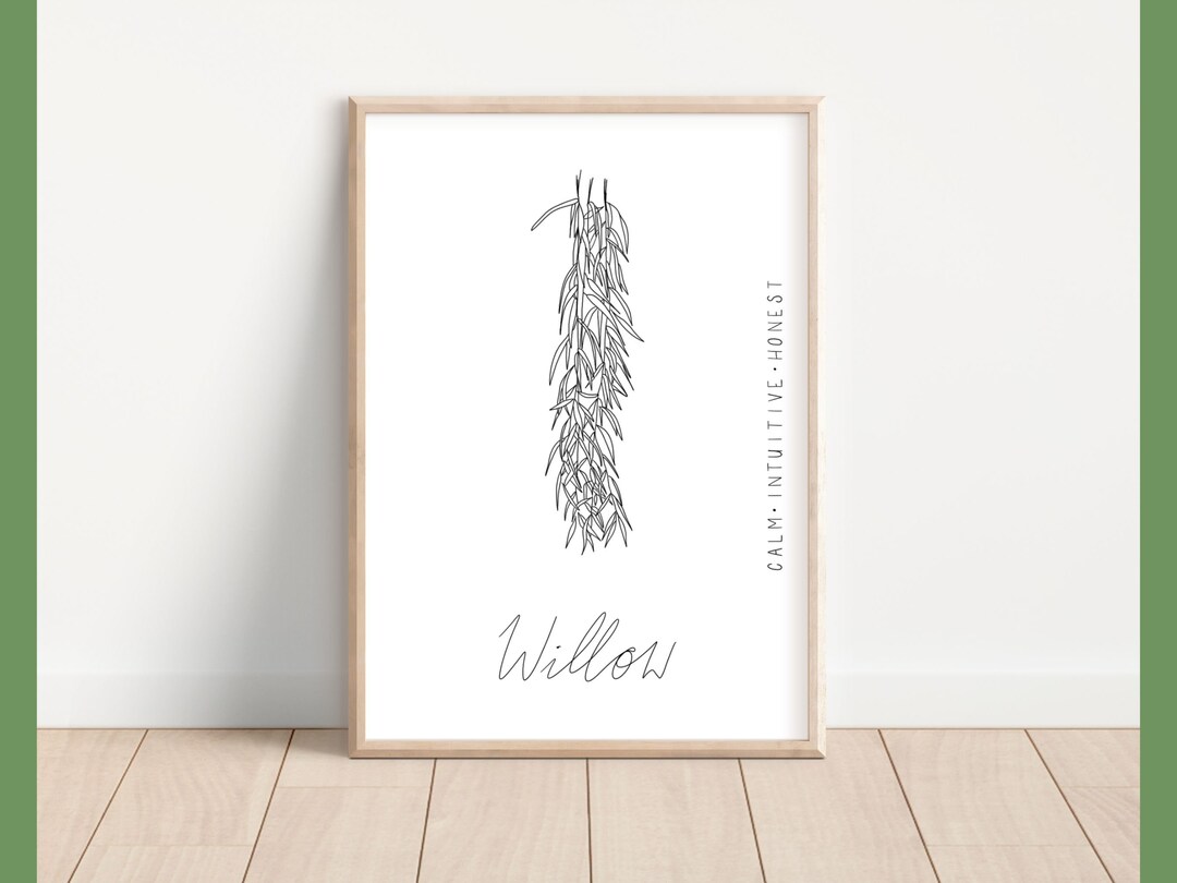 Celtic Willow Tree Print | Celtic Astrology | Birthday Gift | Printable ...