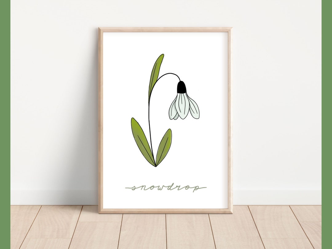 Snowdrop Birth Flower January Art Print Flower Art Wall - Etsy