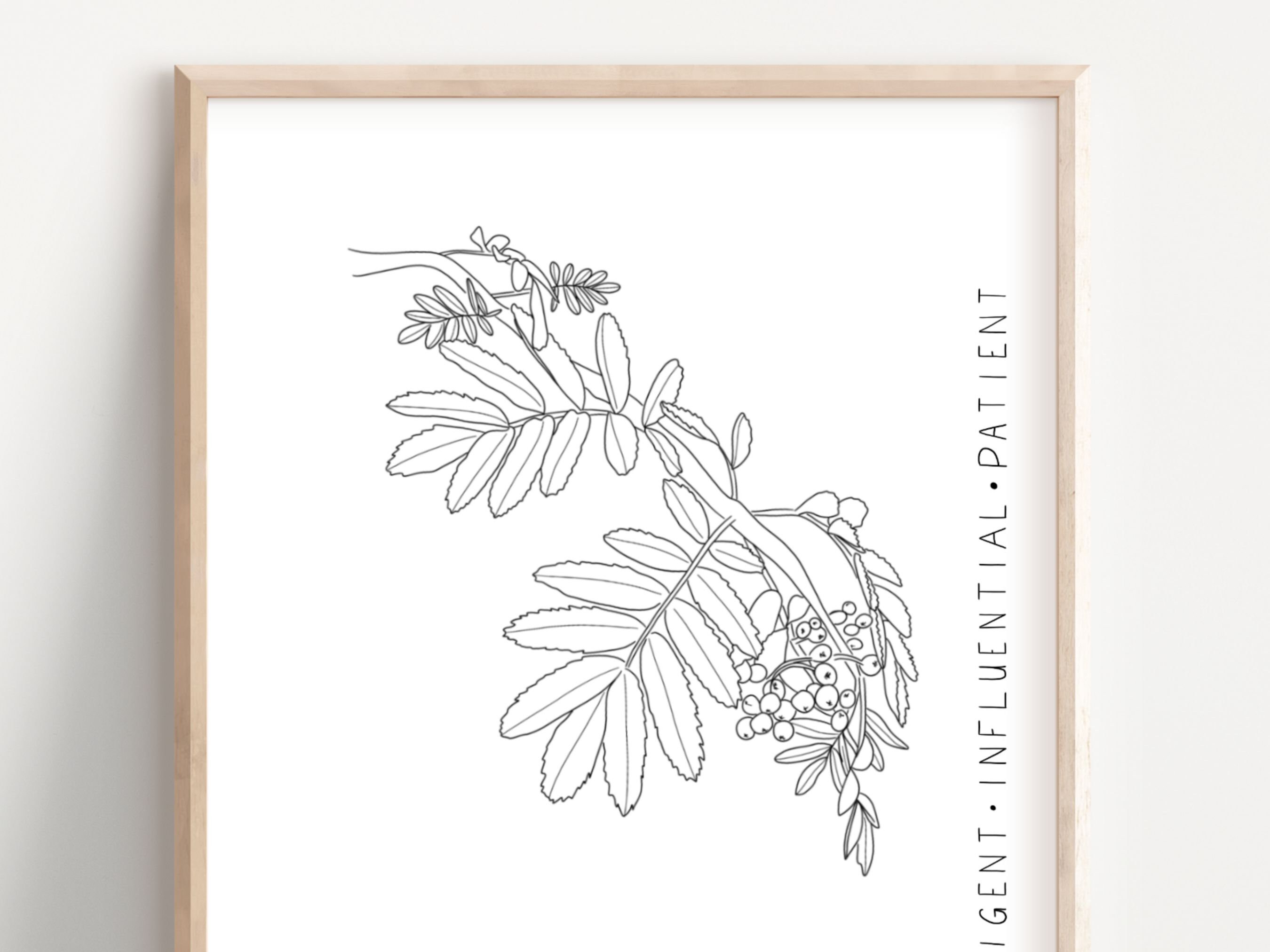 Celtic Rowan Tree Print Celtic Astrology Birthday Gift Printable Wall ...