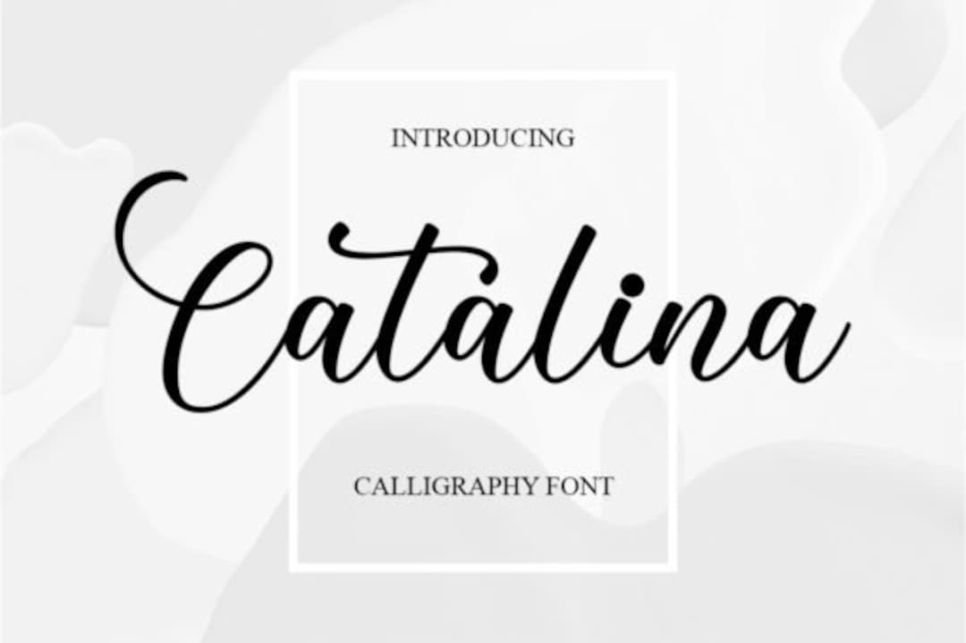 Catalina Font, Beautiful Font, Script Font, Vintage Font, Retro Font, Handwritten Font, Classic ...