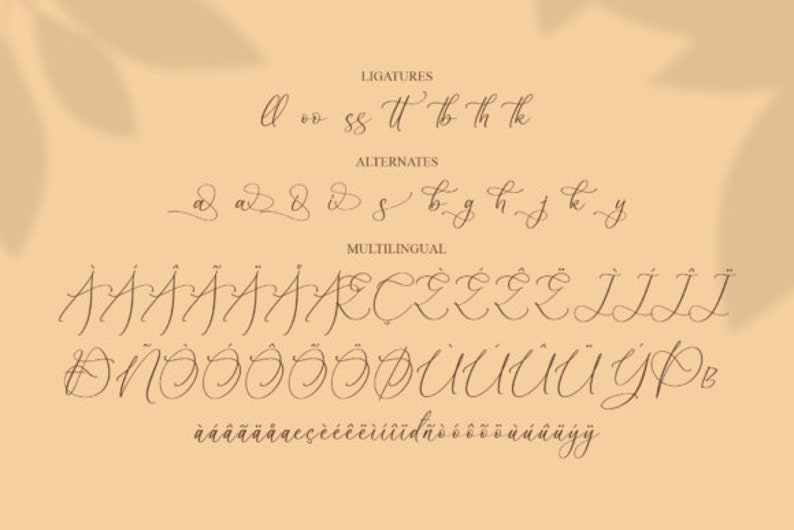 Qarthina Selina Font, Luxury Font, Beautiful Font, Script Font, Vintage ...