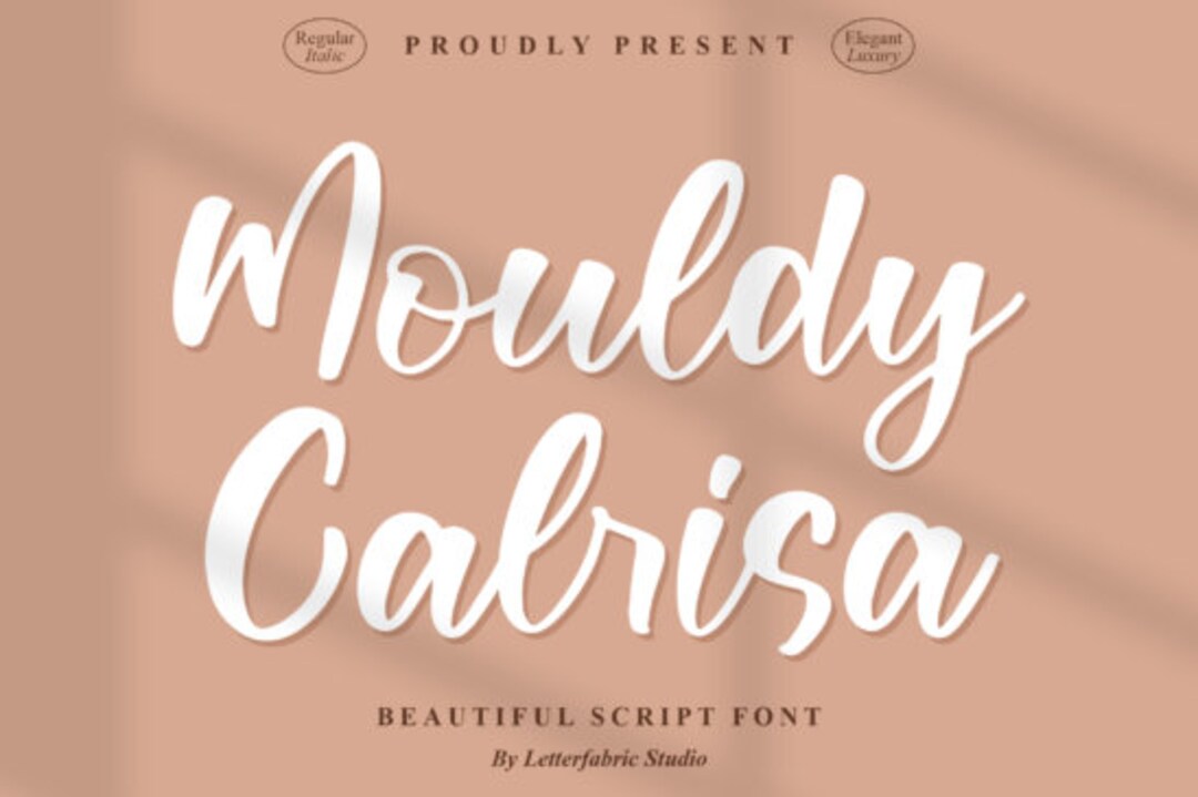 Mouldy Calrisa Font, Calligraphy Font, Wedding Font, Cricut Font ...