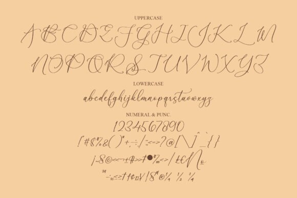 Qarthina Selina Font, Luxury Font, Beautiful Font, Script Font, Vintage ...