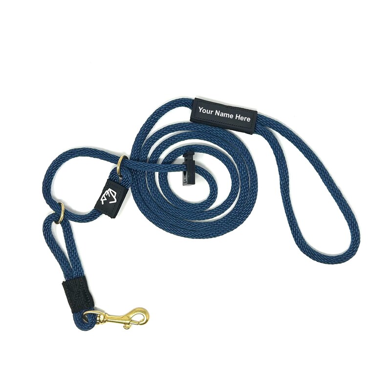 Personalized 'esl/combo Leash' - Slip Lead With Built in Safety Strap ...