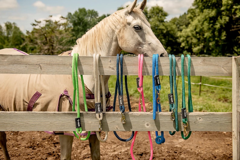 Personalized Horse Lead With Heavy-duty Brass Snap Solid Braid Rope ...