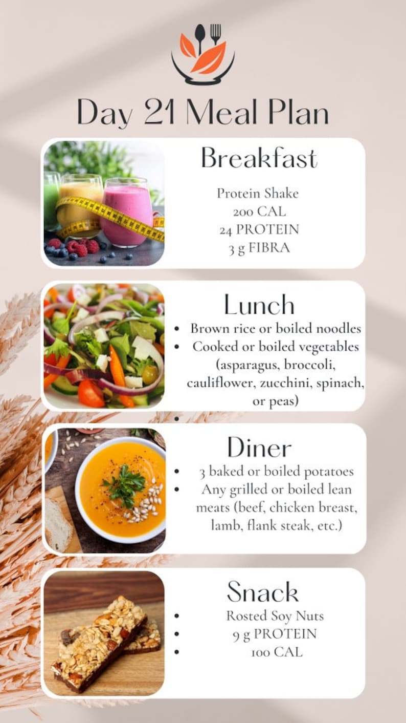 Printable 21 Days Diet Plan With Daily Exercise - Digital Download - Etsy