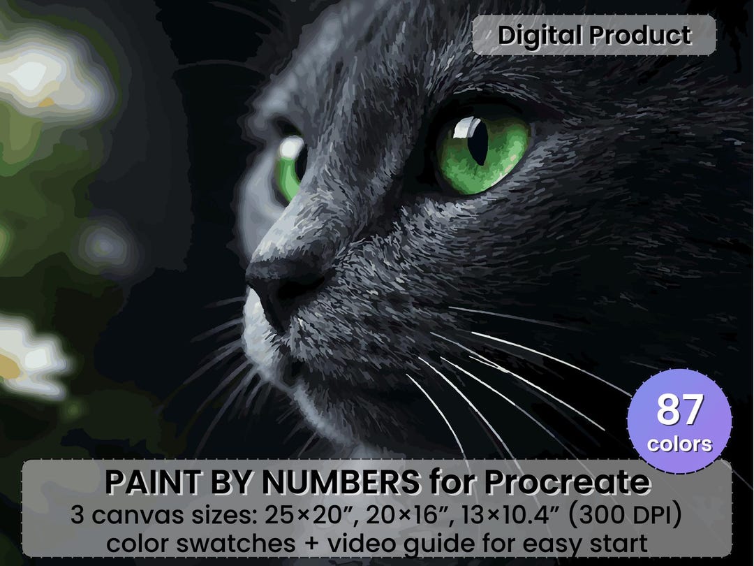Black Cat Color by Number for Procreate, Cat Paint by Number, Dark ...