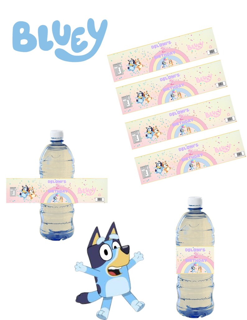 Bluey Water Bottle Labels - Etsy
