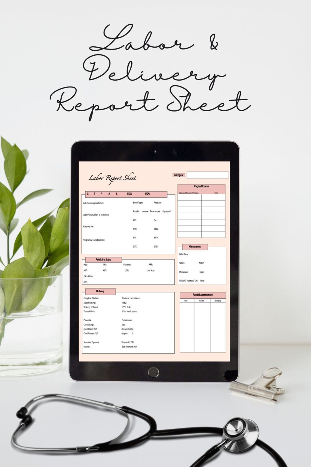 Labor and Delivery Report Sheet - Etsy