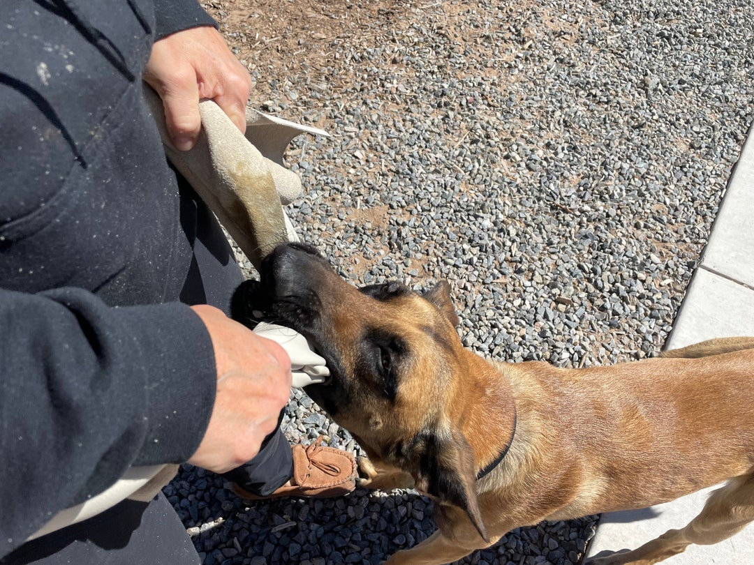 Leather Bite Rag for Dogs and Puppies - Colors Vary - Etsy