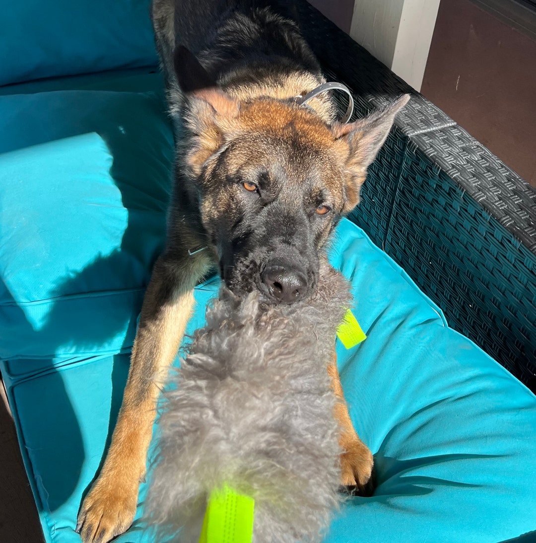 Soft Bite Dog Toy - Etsy