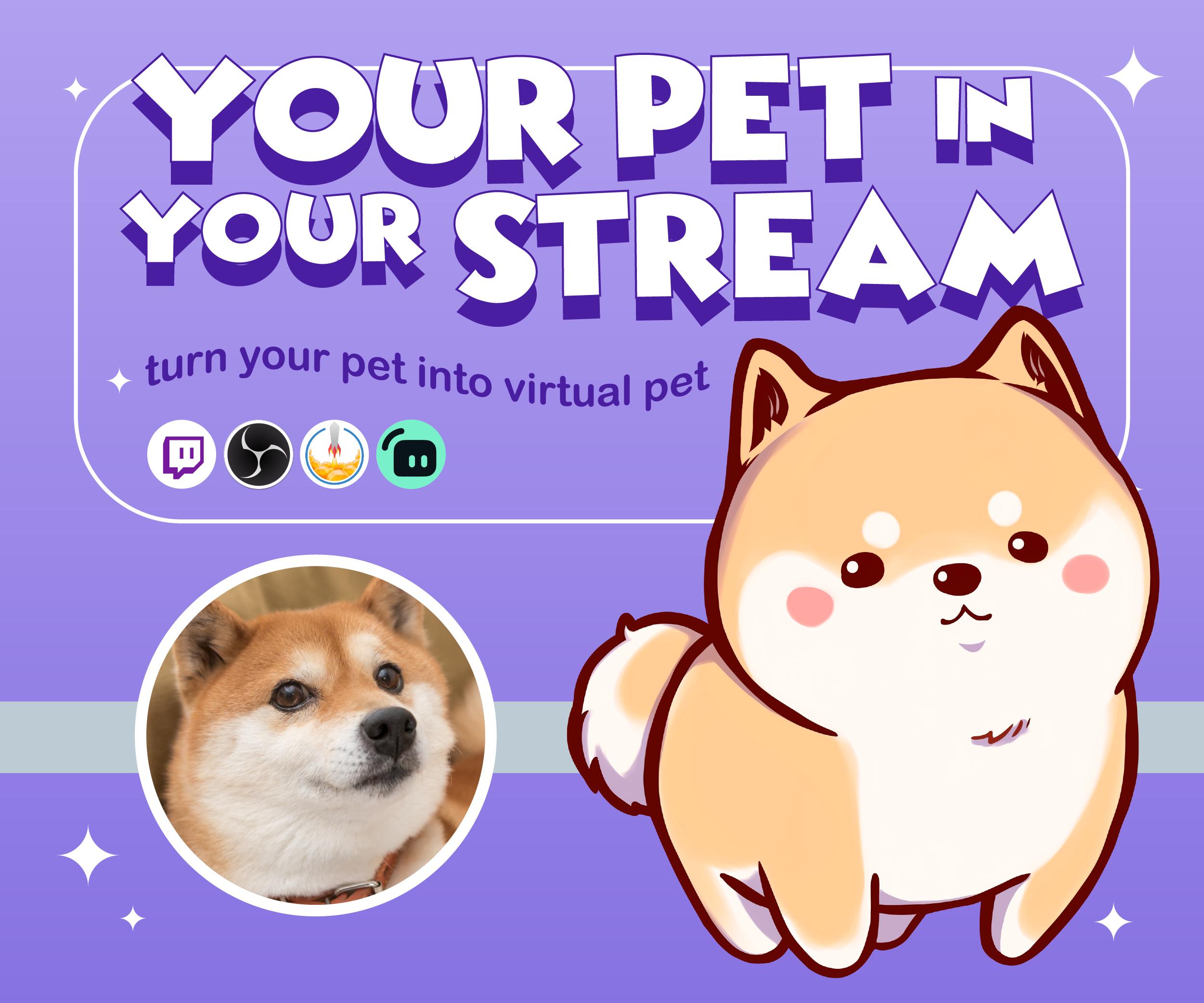Custom Animated Pet Widget Overlay for OBS, Streamlabs, Streamelements ...
