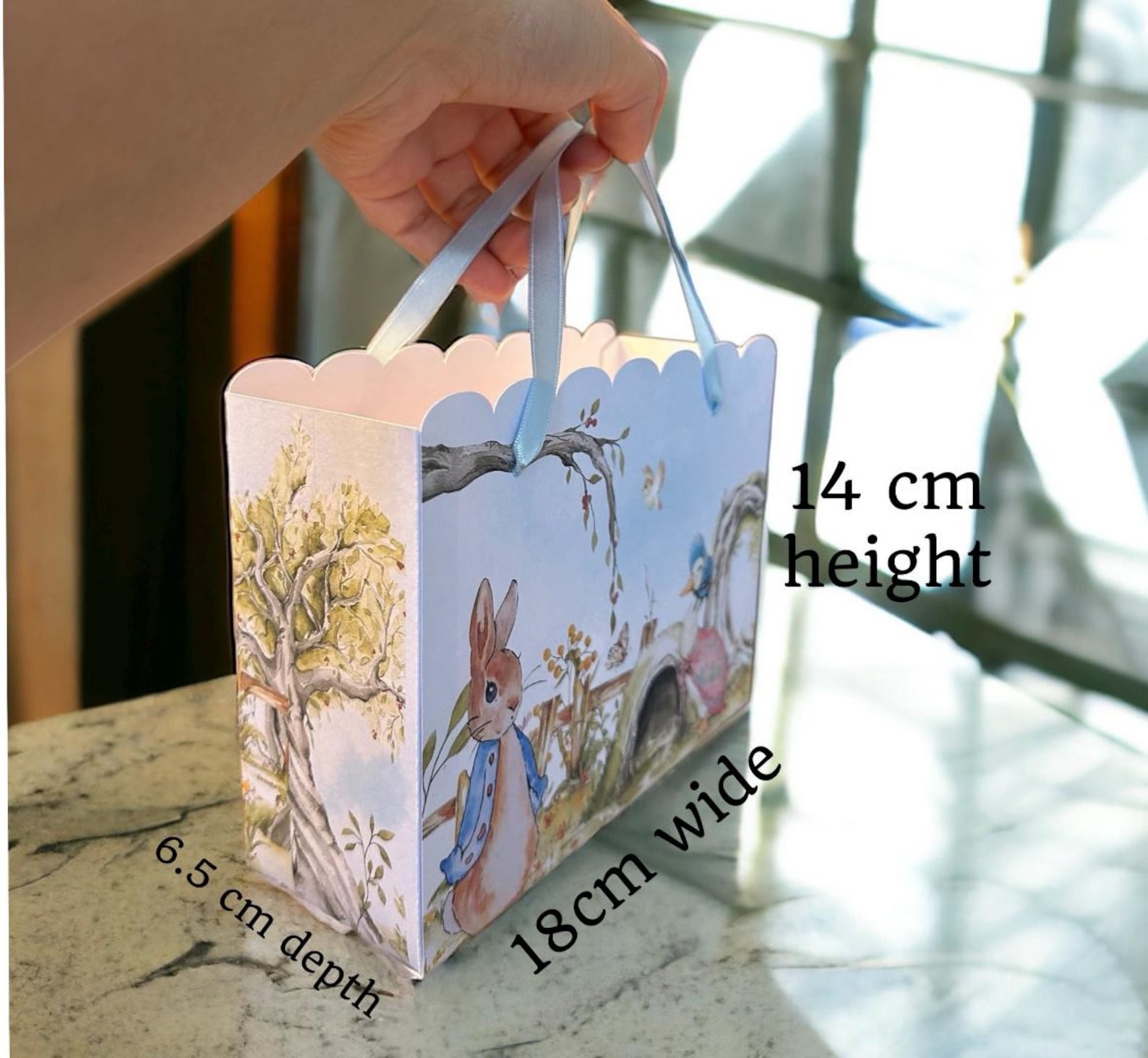 Peter Rabbit Party Favor Bag - Personalized Baby Shower Birthday Gift ...