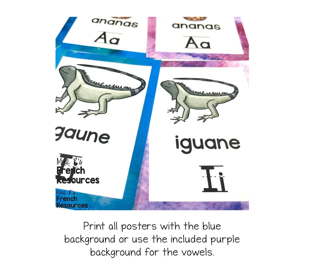 French Alphabet Printable Poster Set for French Classroom, French ...