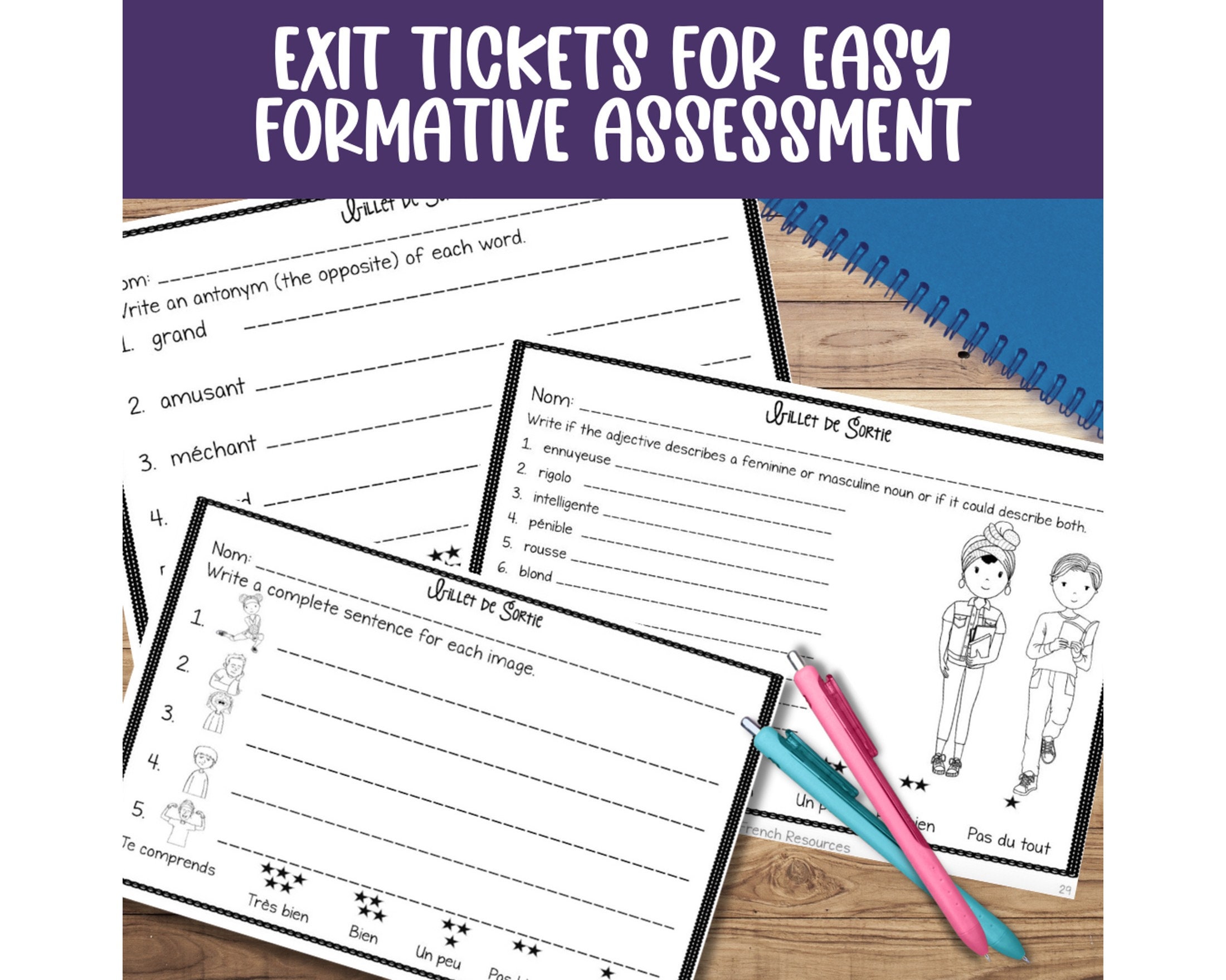 French Worksheets: French Adjectives Digital Resource, French Learning ...