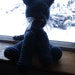 Clover the Cat, a Crochet Pattern - Etsy