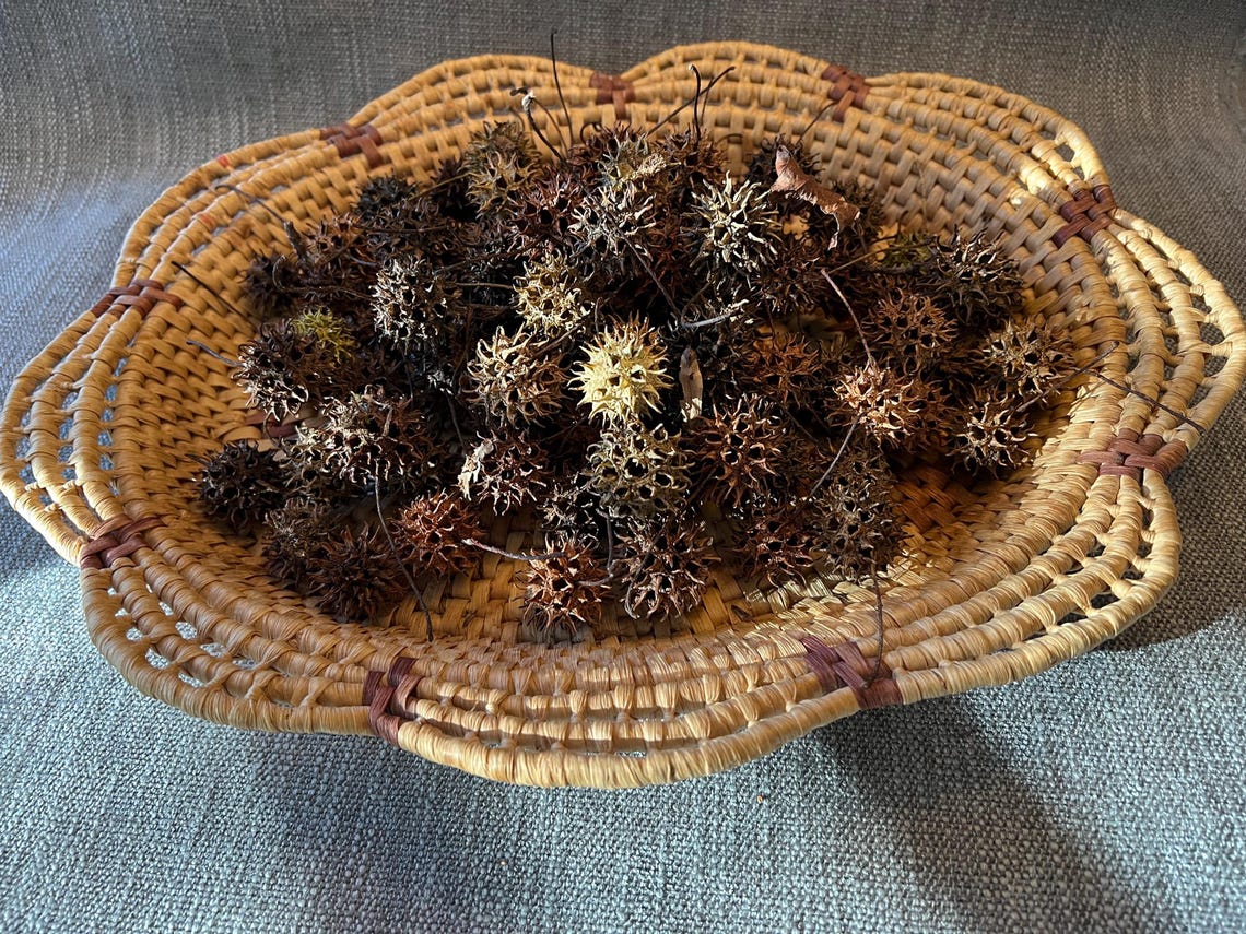 100 Sweetgum Sweet Gum Tree Spike Ball Pods Liquidambar DIY Crafts ...