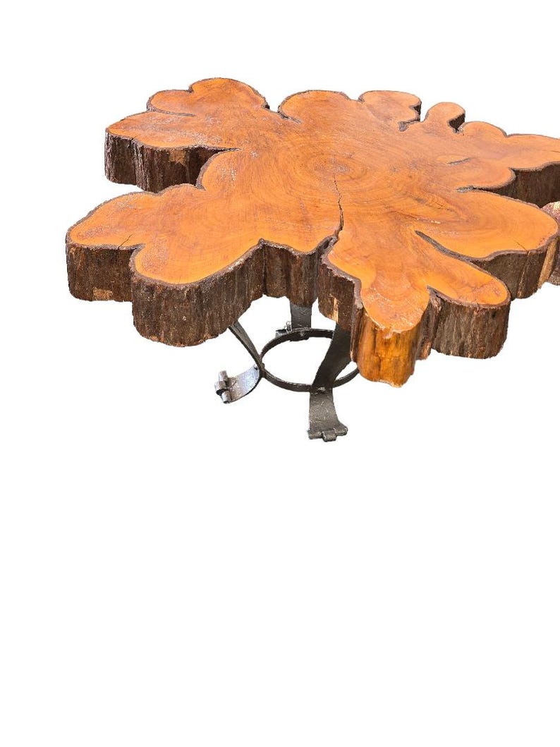Cross Sectioned Tree Trunk Side Table - Etsy