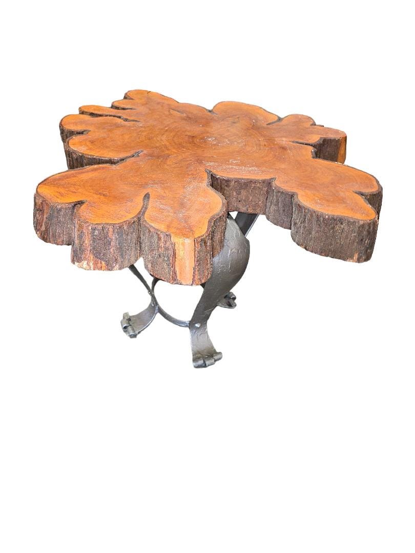 Cross Sectioned Tree Trunk Side Table - Etsy