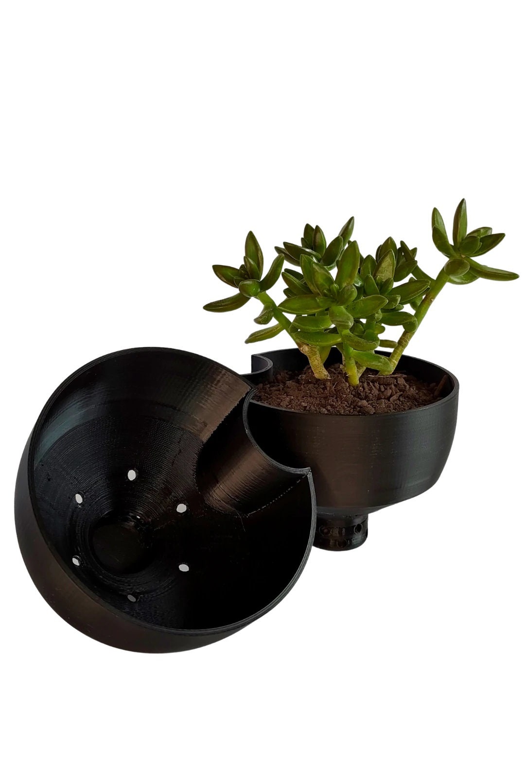 Robert Planters Hydroponic, Self-watering, Seeds Starter, - Etsy