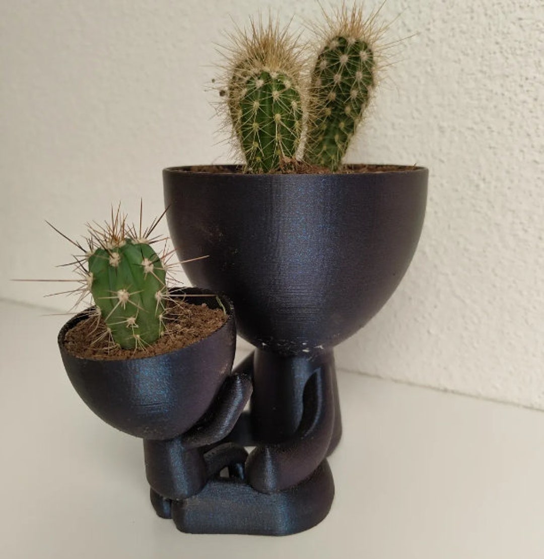 Robert Planters Hydroponic, Self-watering, Seeds Starter, - Etsy