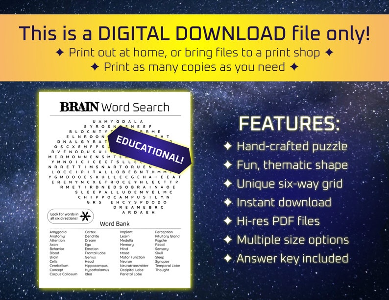 BRAIN Word Search - Science Vocabulary, Classroom Activity, Teaching ...