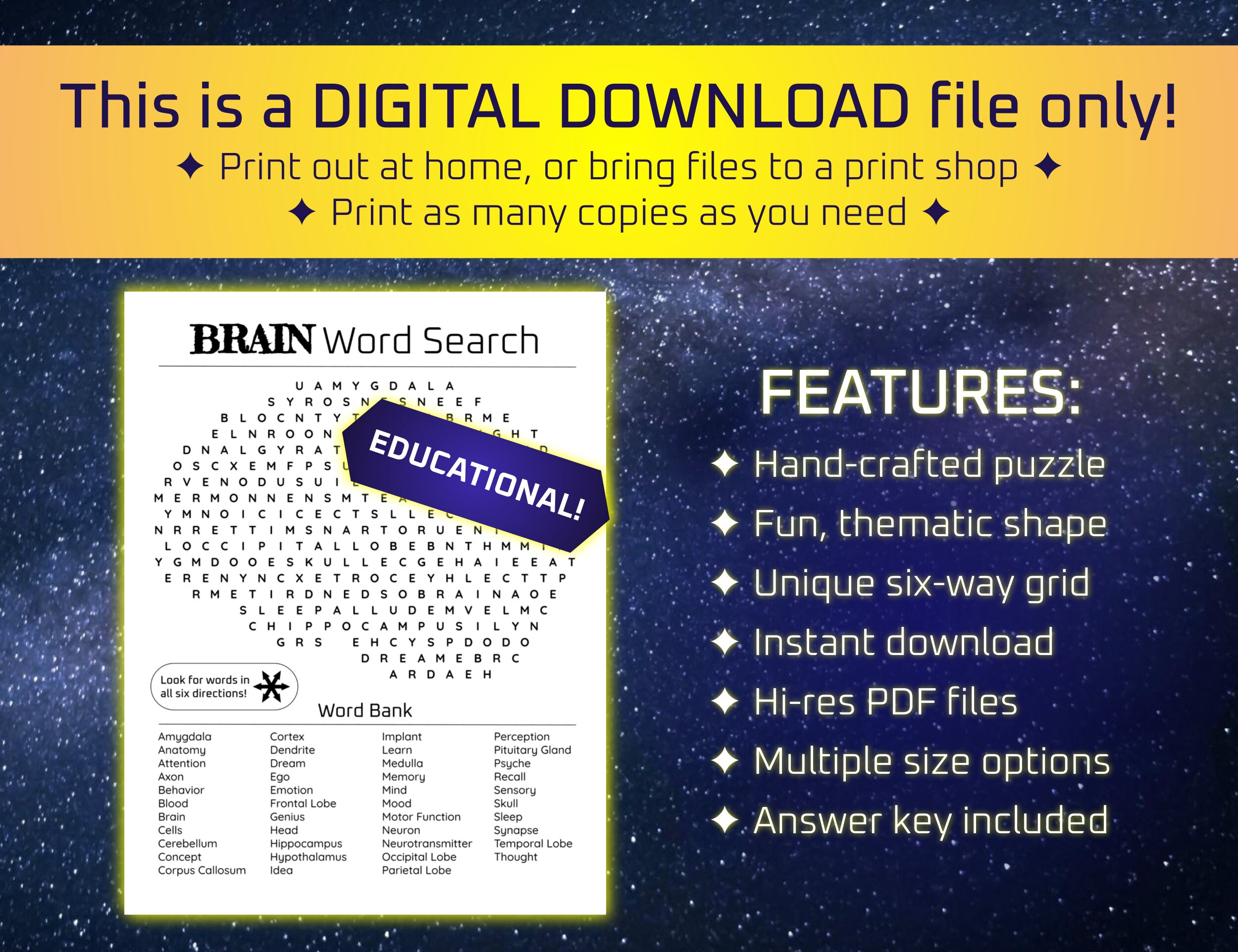 BRAIN Word Search - Science Vocabulary, Classroom Activity, Teaching ...
