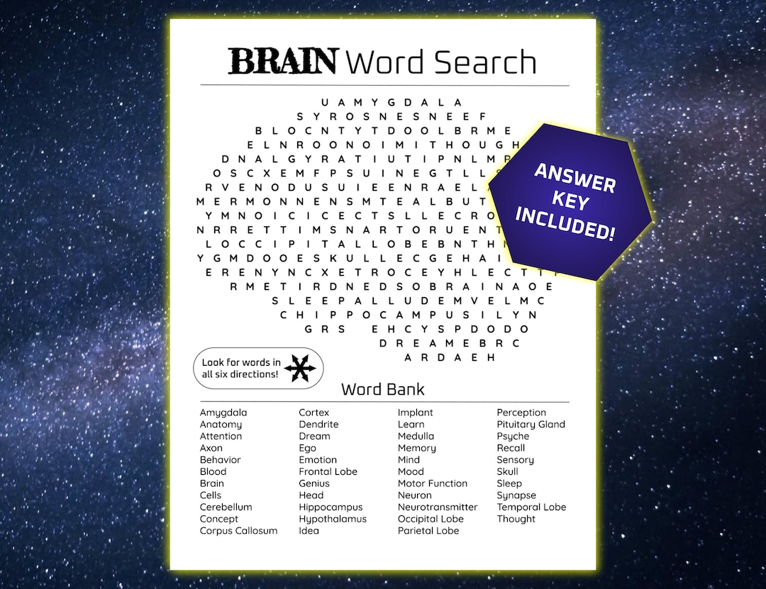 BRAIN Word Search - Science Vocabulary, Classroom Activity, Teaching ...