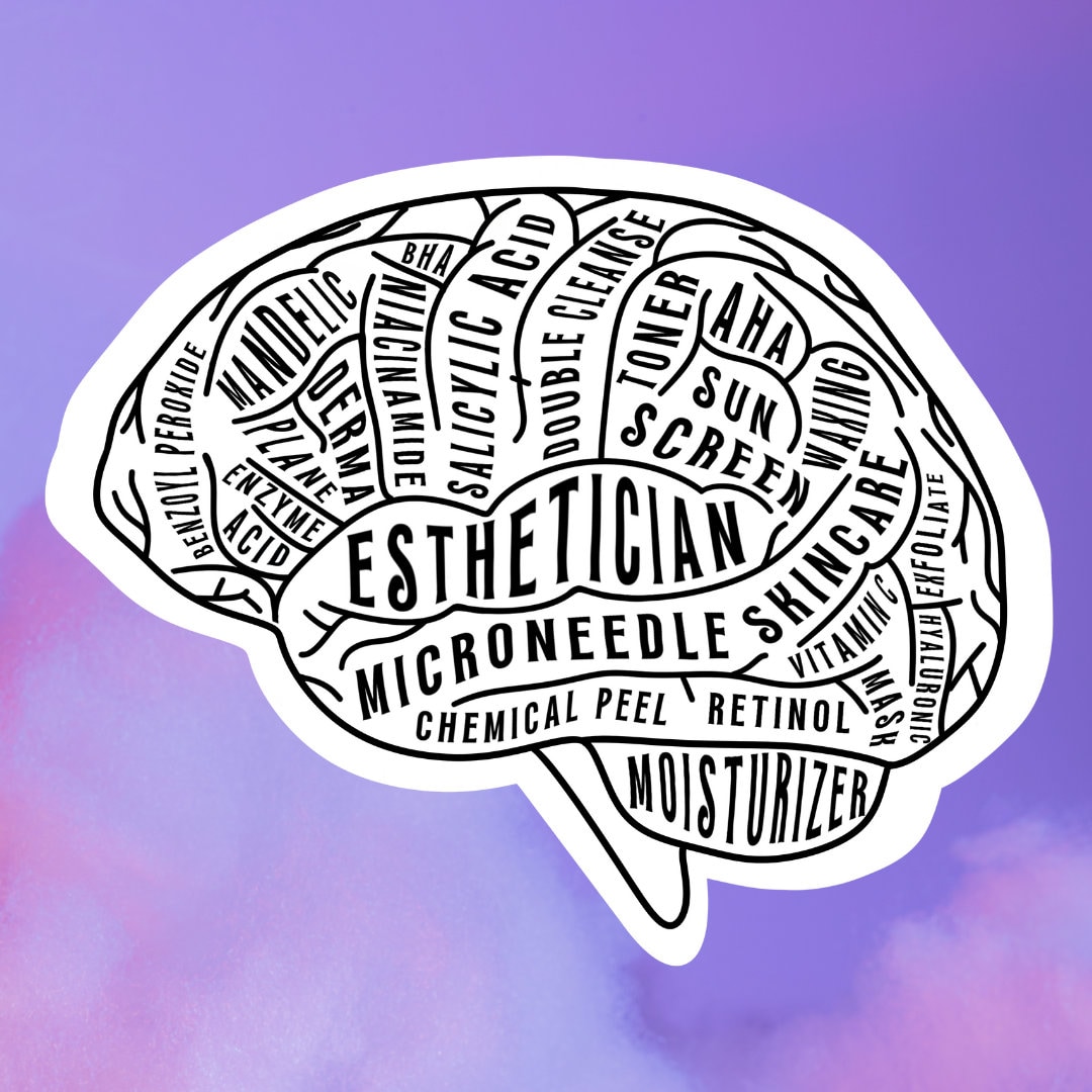 Esthetician Vinyl Sticker, Mind of an Esty, Brain Diagram of an ...
