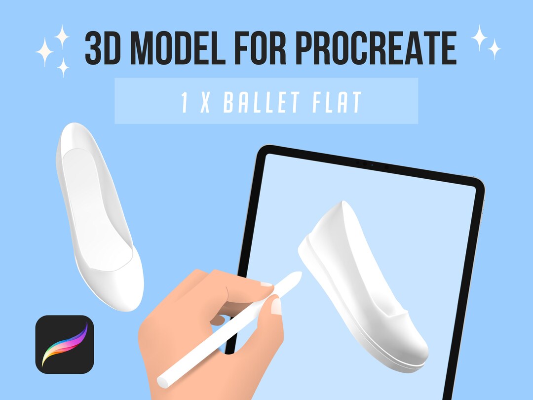 1 X Ballet Flat Shoe 3D Model for Procreate 3D Digital Painting on iPad ...