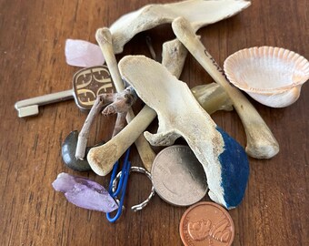 Bone Reading Guide - Etsy