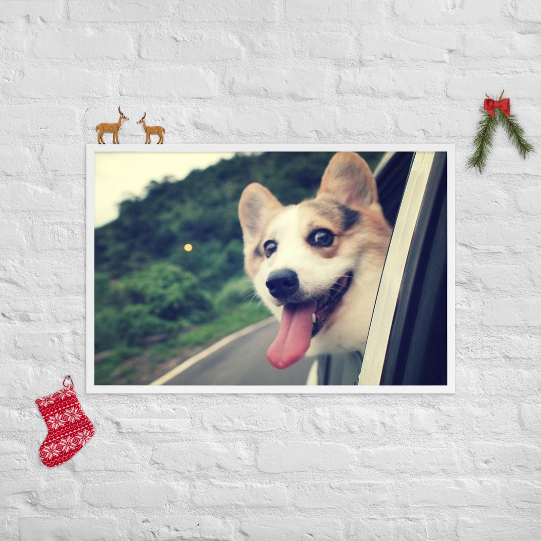 Dumbo Has A Blast Dog Poster Ideal for Nursery Living - Etsy