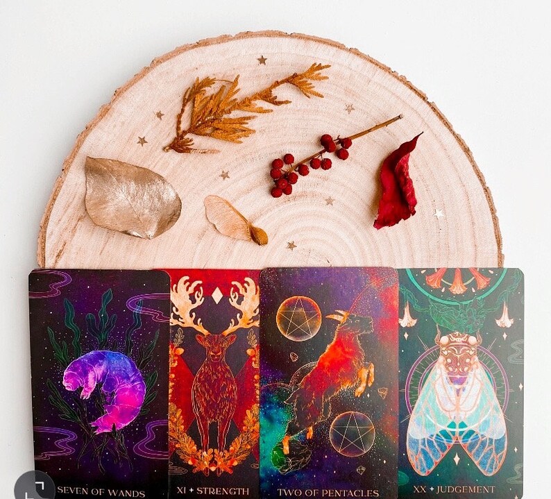 Oriens Animal Tarot - Etsy UK