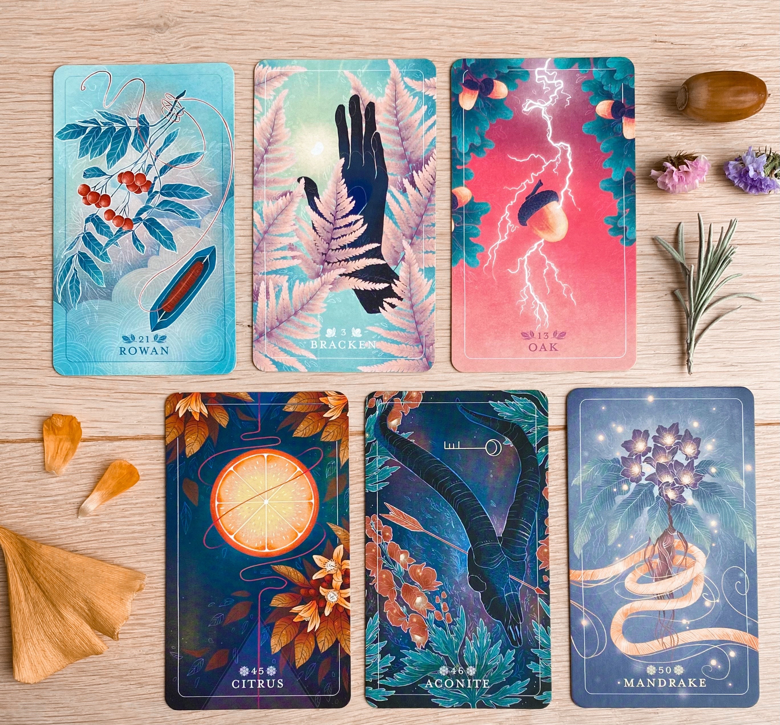 Seed & Sickle Oracle Deck - Etsy UK