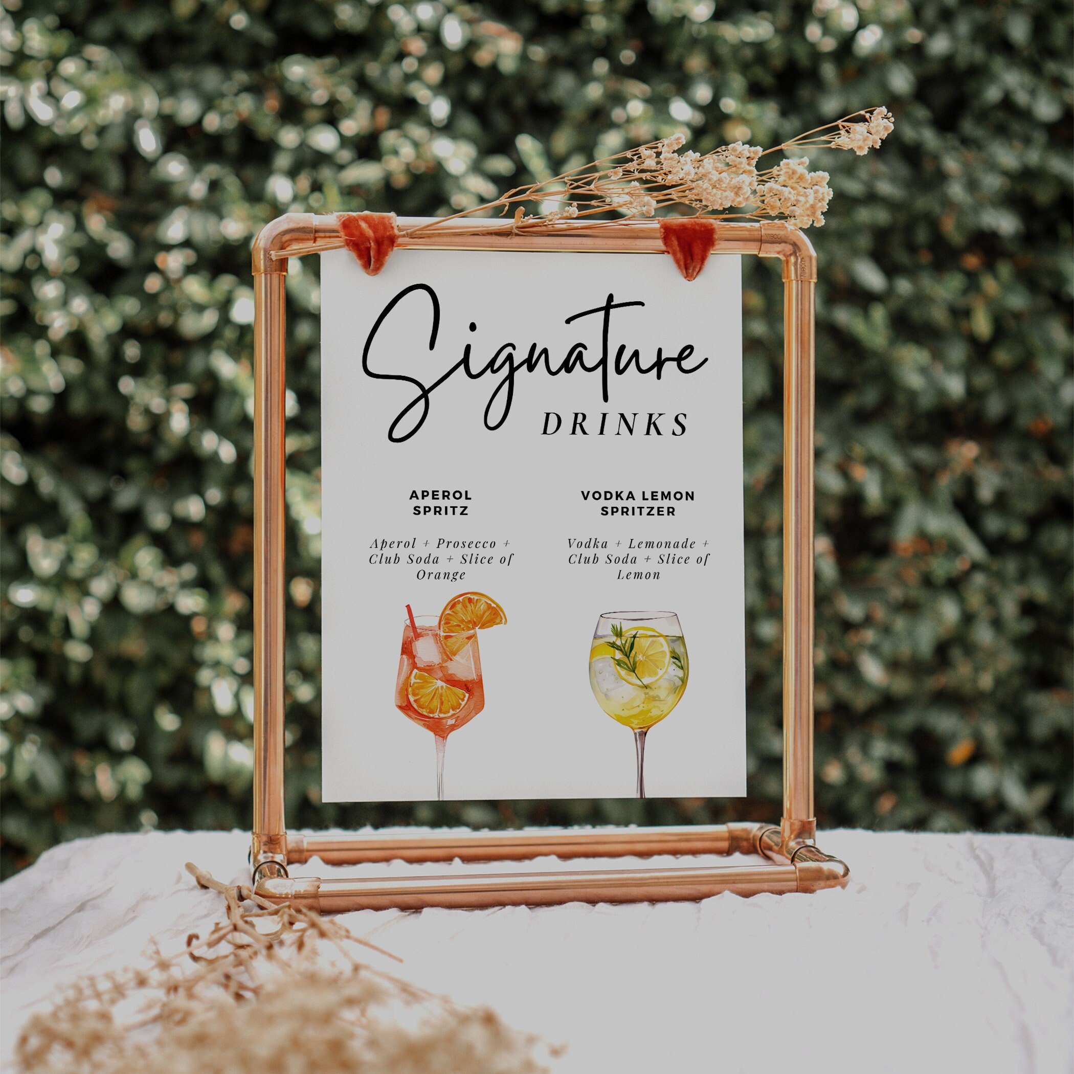 Aperol Spritz and Vodka Lemon Spritzer Signature Drinks Sign Aperol ...