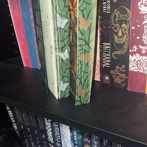 Infatuated Fae by Jeneane O'riley How Does It Feel? and What Did You Do ...