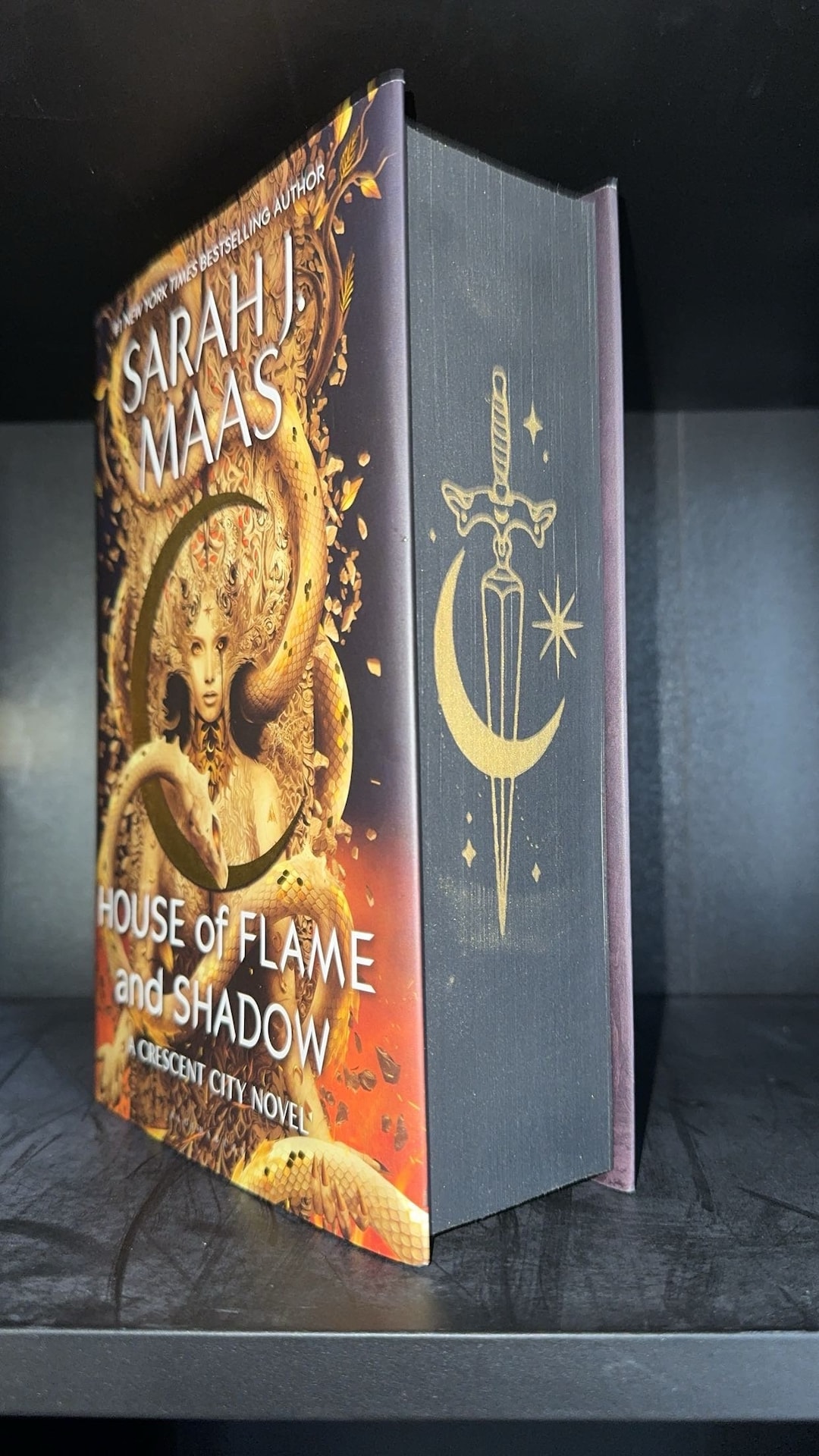 House of Flame and Shadow by Sarah J Maas Custom Metallic Edges - Etsy