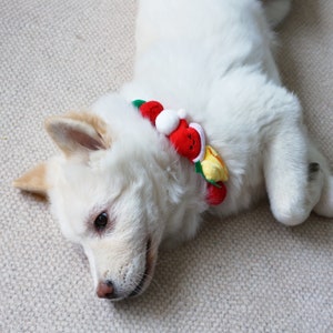 Handmade Christmas Pet Collar: Festive Dog Cat Neckwear - Etsy