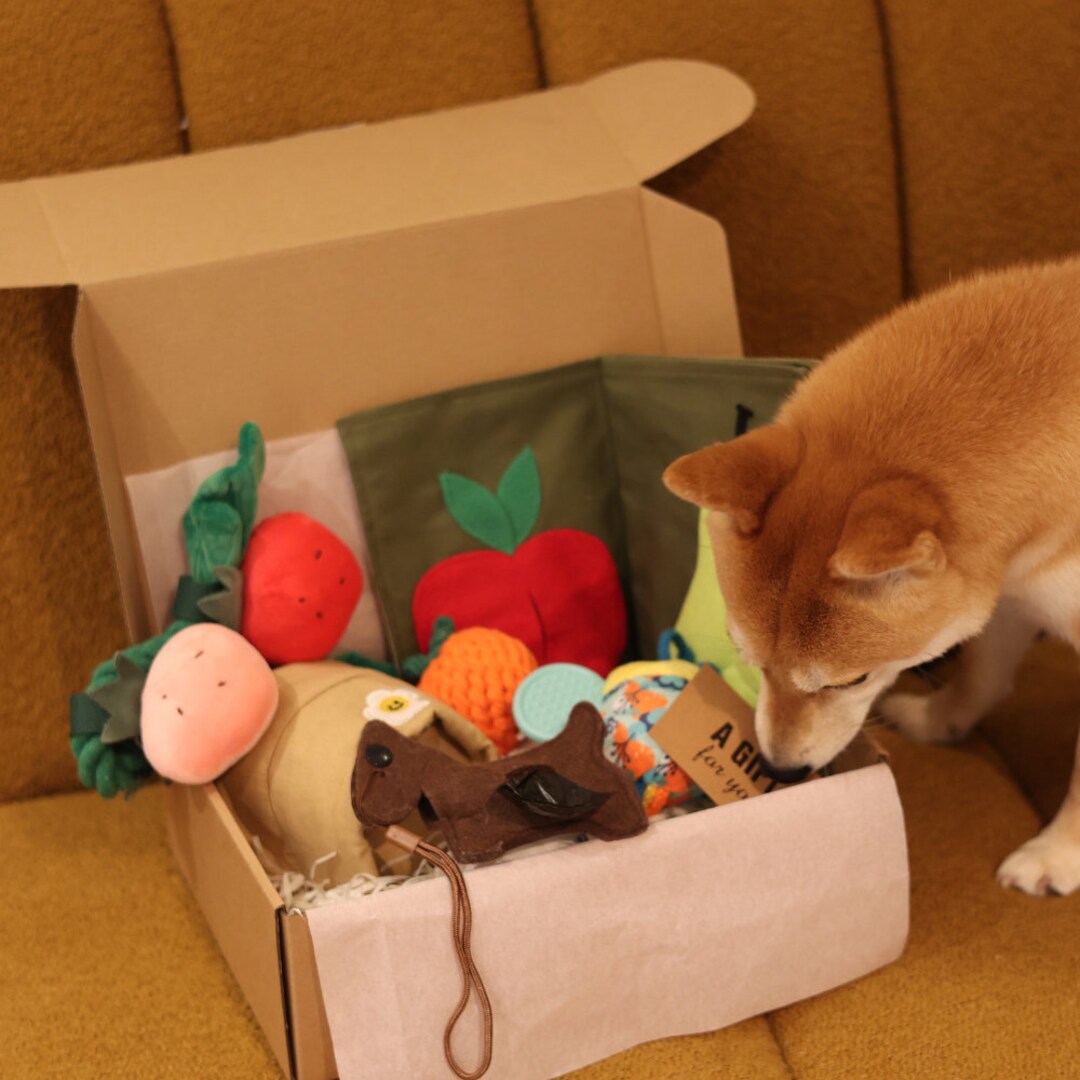 Dog Toy Gift Box, Bundle of Dog Toys, Pet Gift, Customized Gift for ...