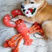 Christmas Lobster Dog Rope Toy: Squeaky Puppy Chew Toy - Etsy