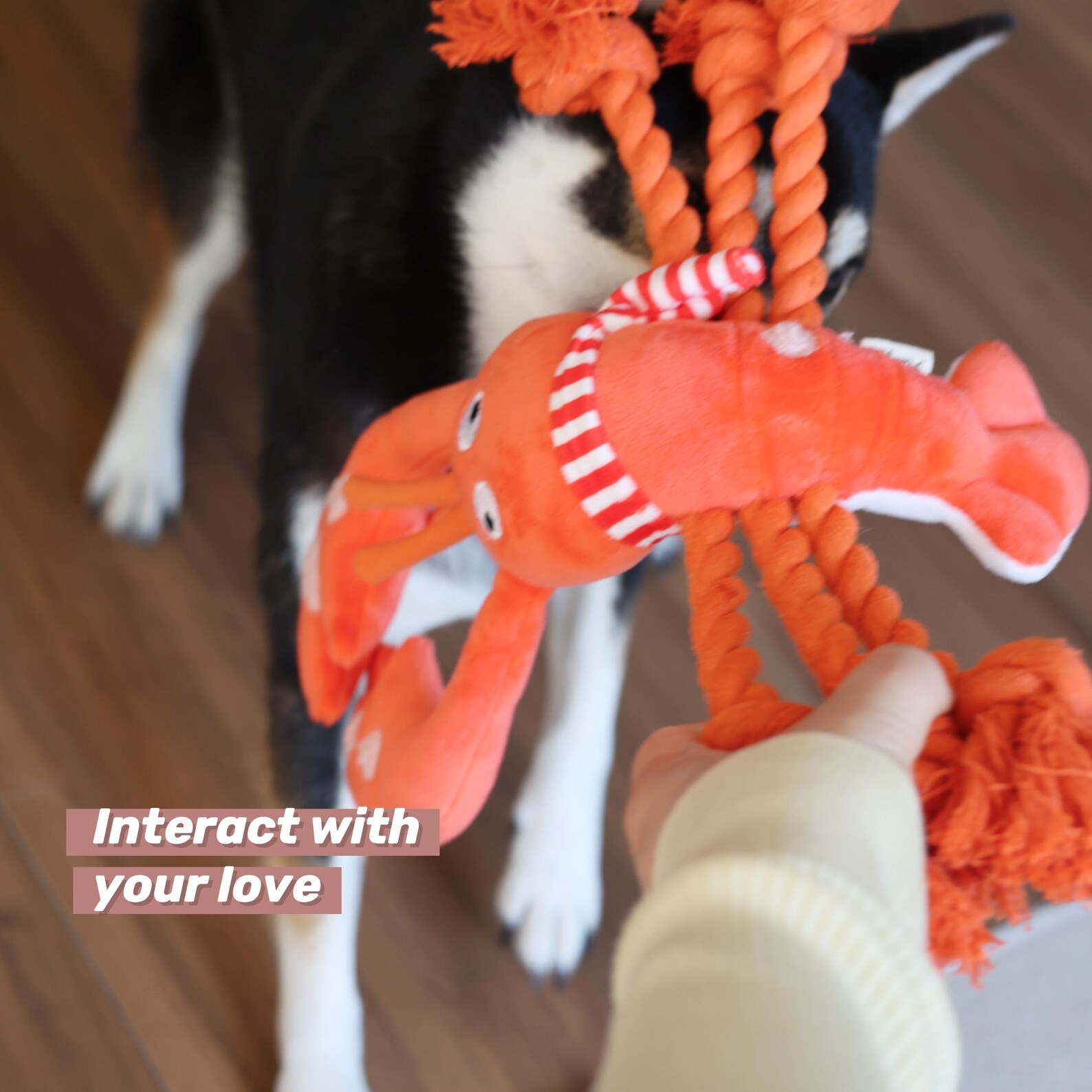 Christmas Lobster Dog Rope Toy: Squeaky Puppy Chew Toy - Etsy