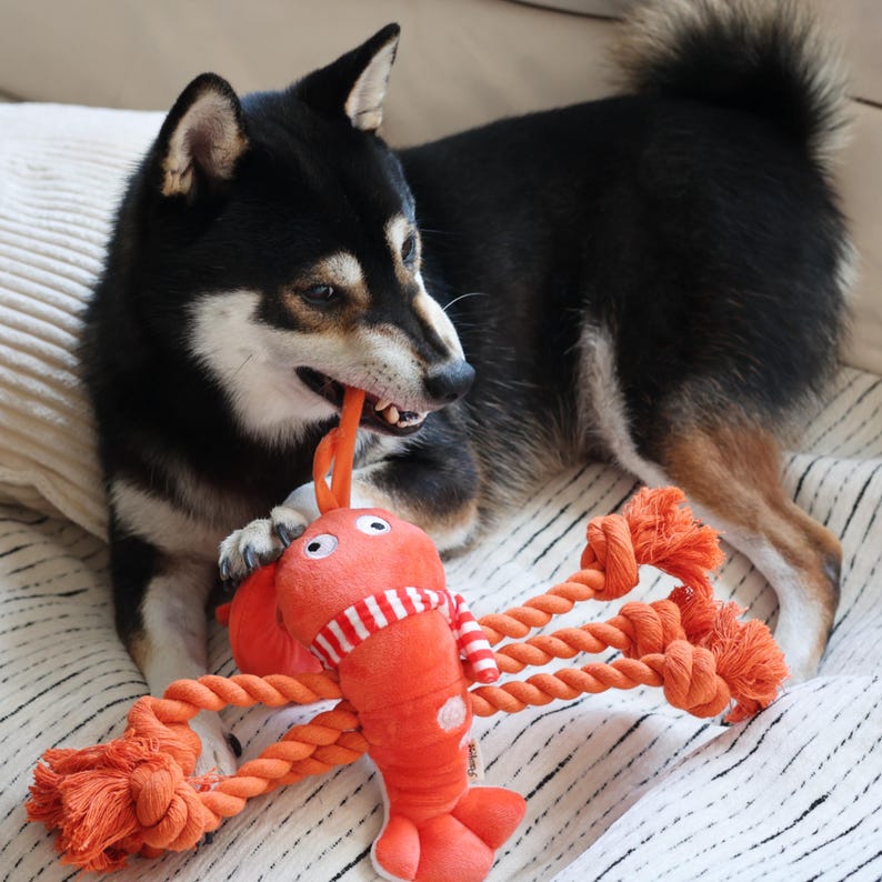 Christmas Lobster Dog Rope Toy: Squeaky Puppy Chew Toy - Etsy