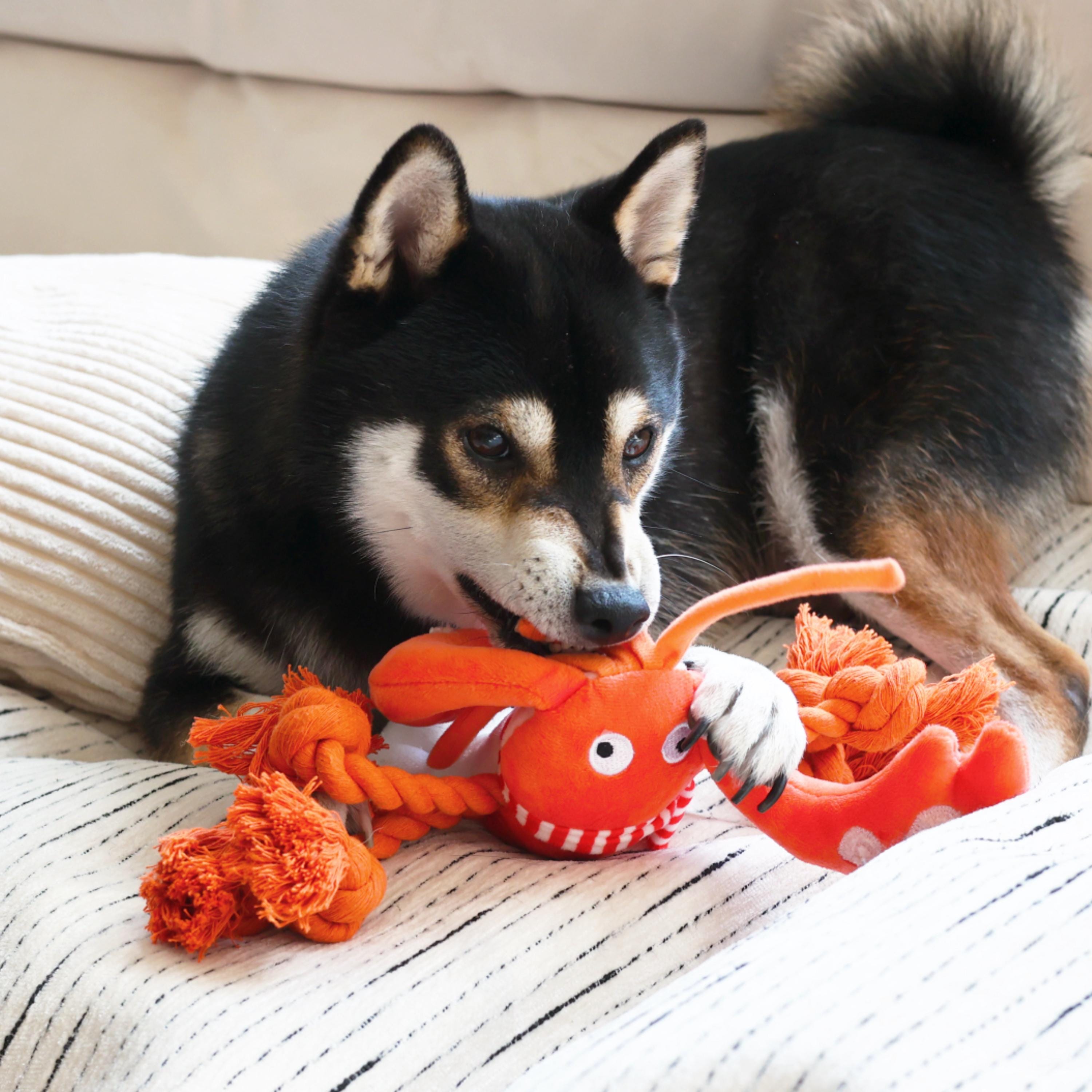 Christmas Lobster Dog Rope Toy: Squeaky Puppy Chew Toy - Etsy