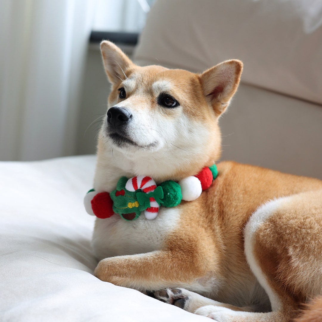 Handmade Christmas Pet Collar: Festive Dog Cat Neckwear - Etsy