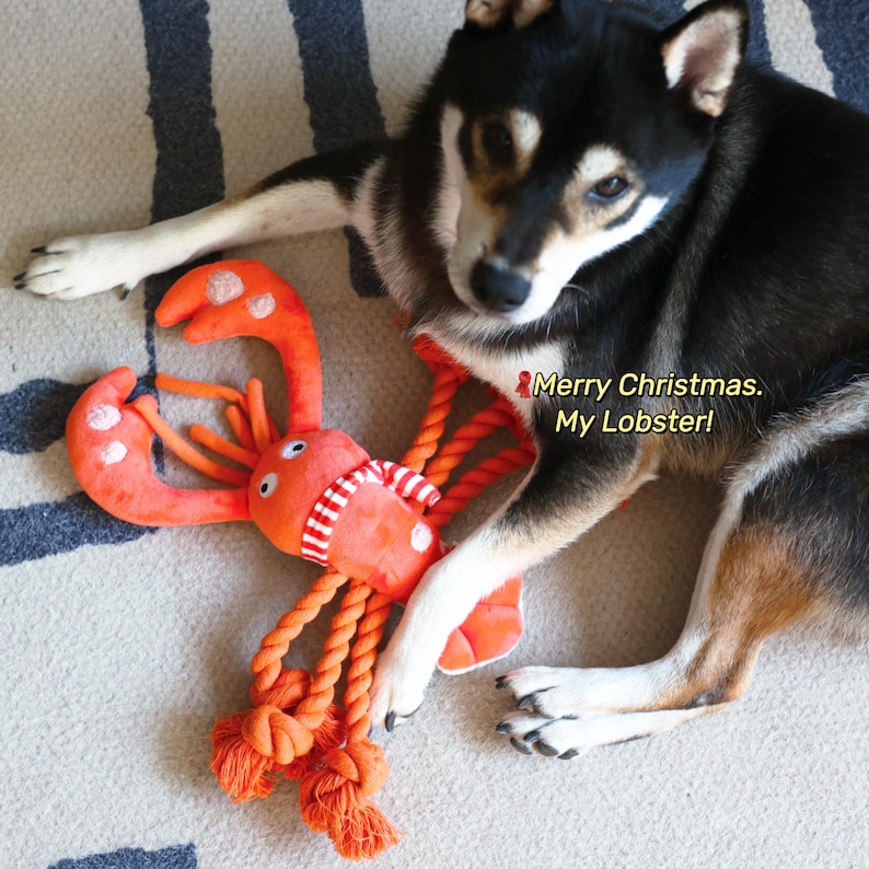 Christmas Lobster Dog Rope Toy: Squeaky Puppy Chew Toy - Etsy