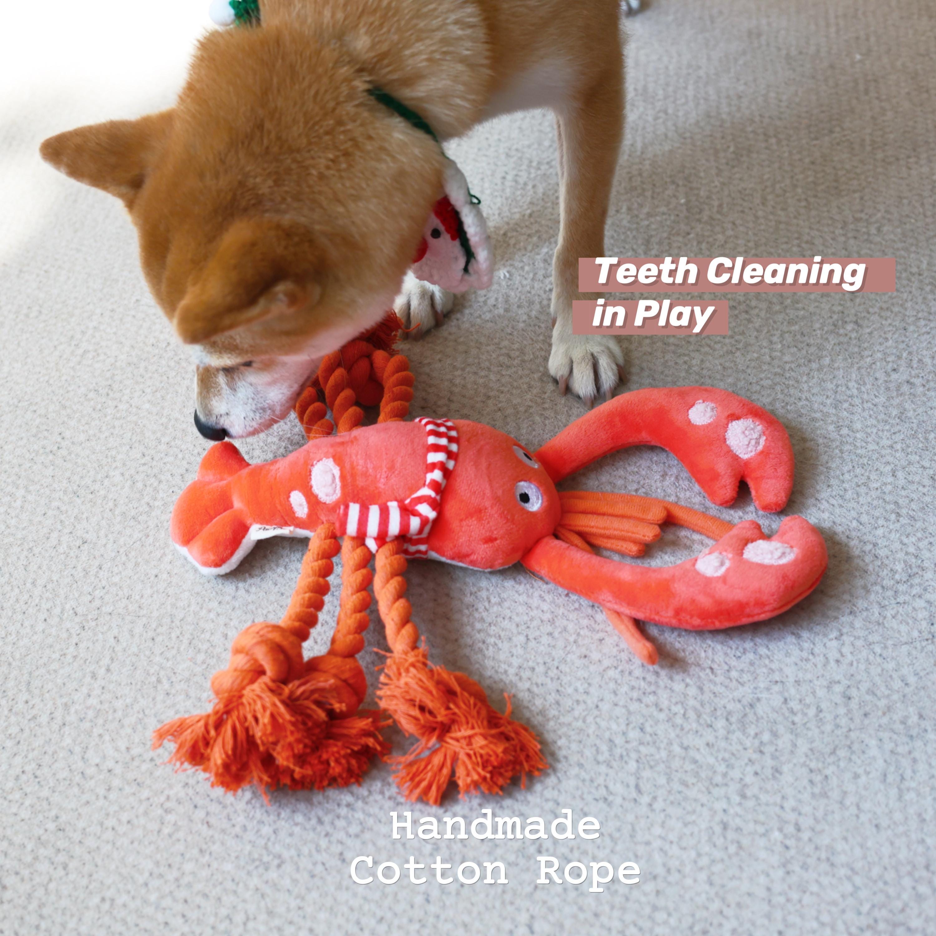 Christmas Lobster Dog Rope Toy: Squeaky Puppy Chew Toy - Etsy