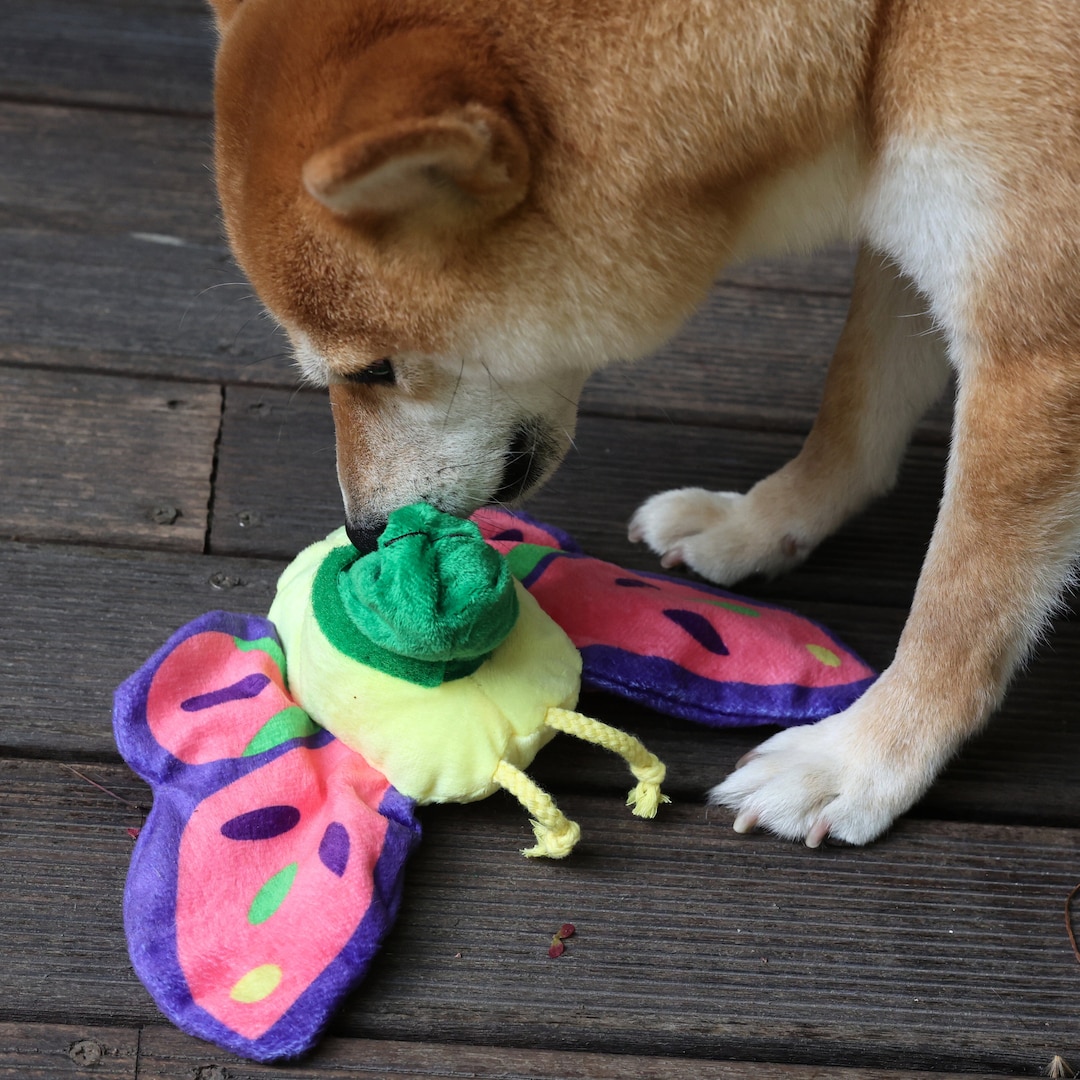 Butterfly Dog Puzzle Toy, Mini Pet Hide and Seek Toy, Chew Toy With ...