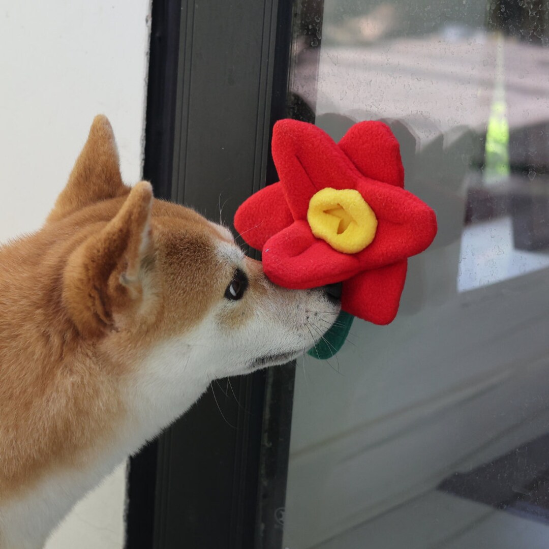 Flower Dog Snuffle Toy, Cute Puppy Interactive Toy, Durable Slow Feeder ...