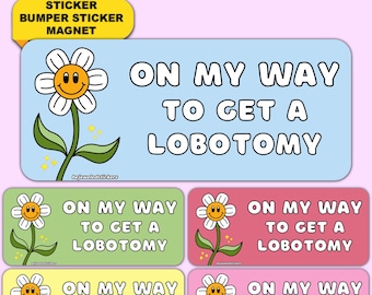 Funny Weird Gen Z Bumper Sticker a Witch Turned Me Into a - Etsy